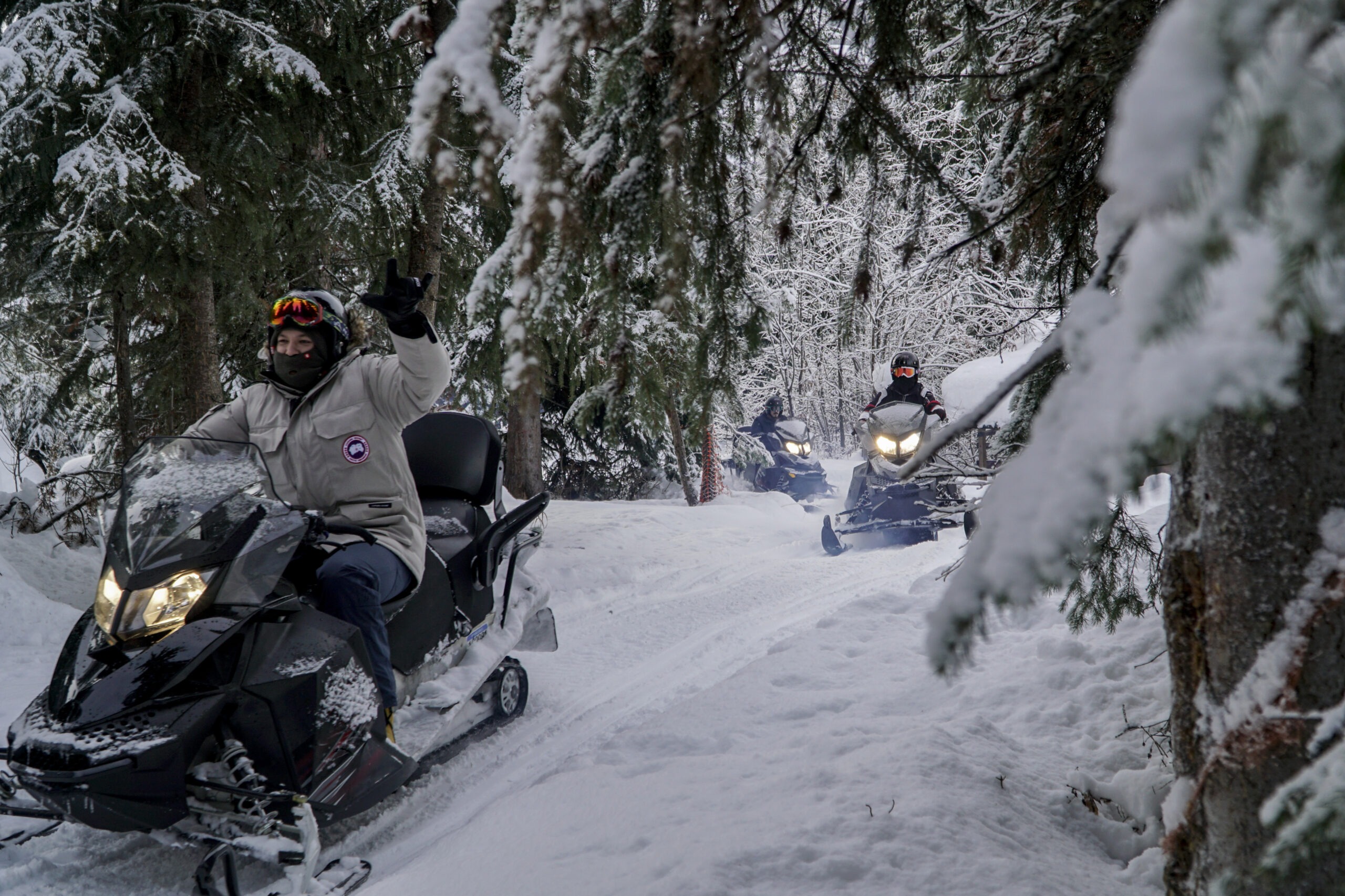 Kicking Horse Snowmobile Tours – Rocky Mountain Riders